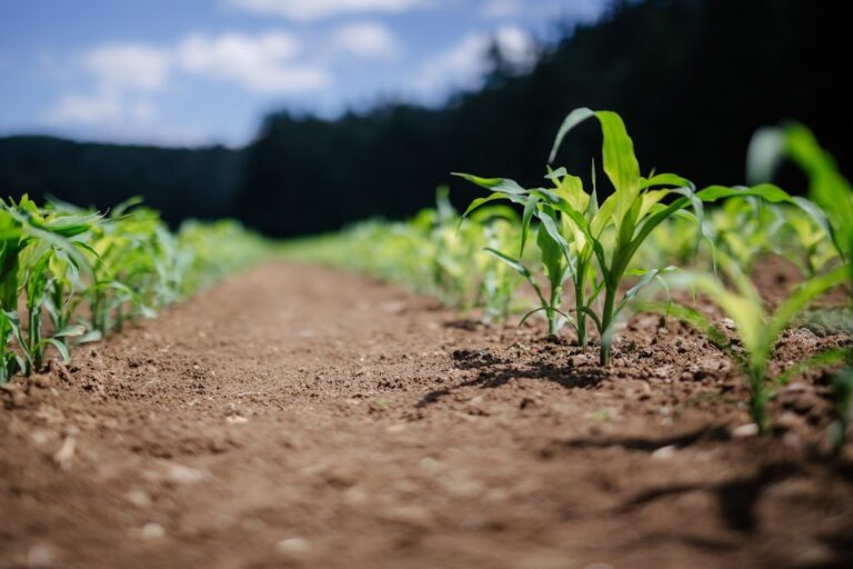 Wisconsin Certified Crop Advisers-Dedicated Resources for Wisconsin CCA ...
